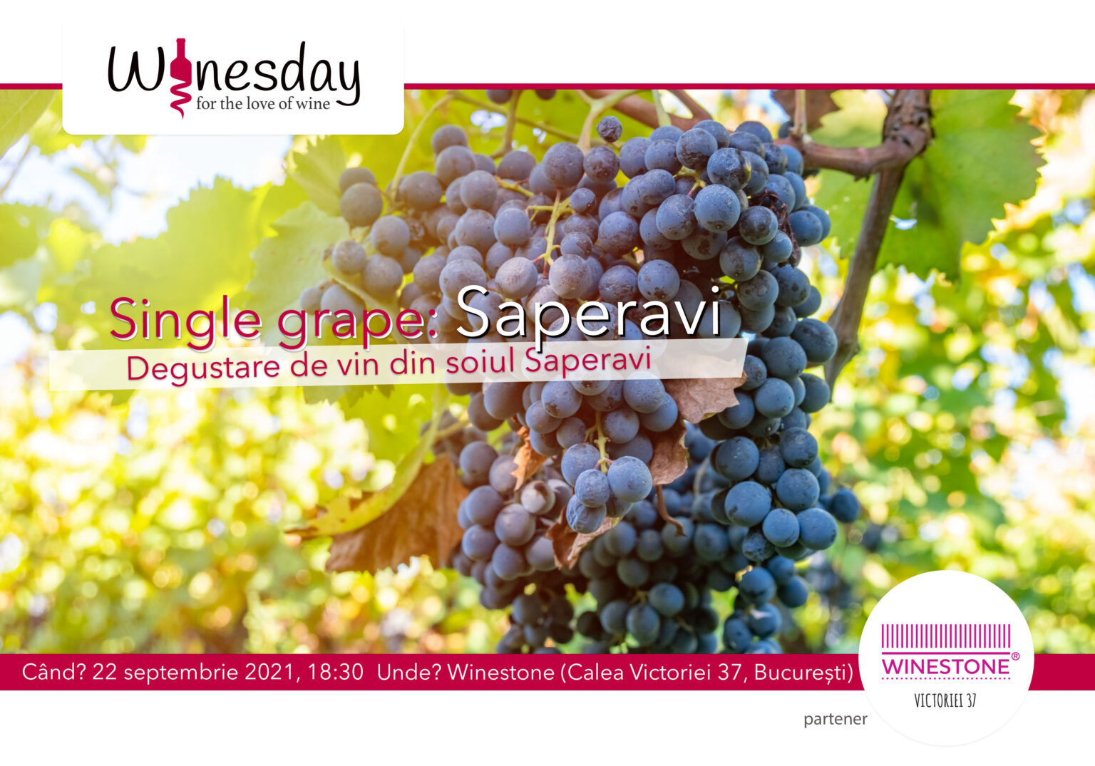 Single Grape: Saperavi - Winesday. For the love of wine | by Carmina ...