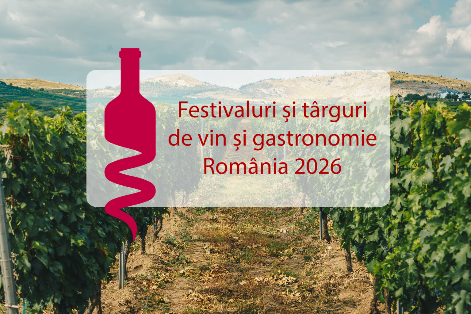 Festivaluri și târguri de vin și gastronomie România 2026 - Winesday ...